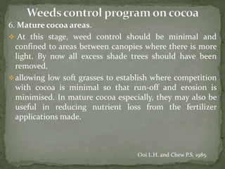 WEEDS CONTROL ON CACAO IN INDONESIA | PPTX