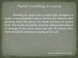 WEEDS CONTROL ON CACAO IN INDONESIA | PPTX