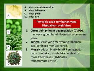 ilmuguru.org - Materi Biologi Kelas 10 BAB 2.ppt