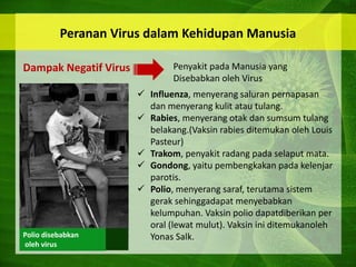 ilmuguru.org - Materi Biologi Kelas 10 BAB 2.ppt