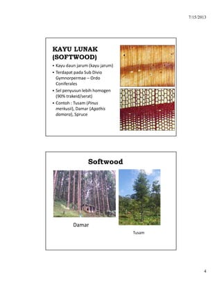 ILMU KAYU PENDAHULUAN | PDF