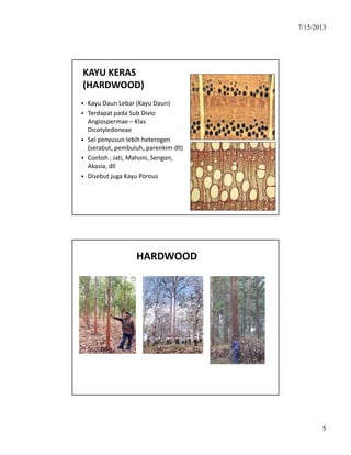 ILMU KAYU PENDAHULUAN | PDF