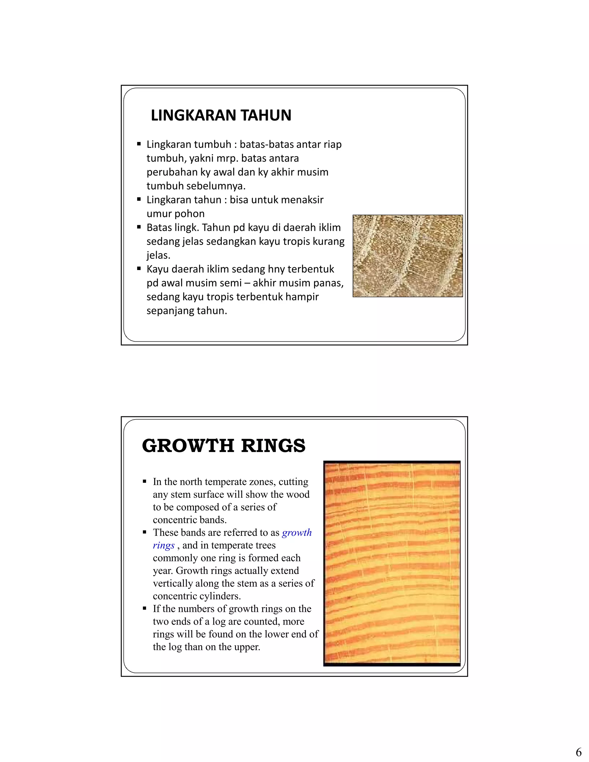 ILMU KAYU PERTUMBUHAN POHON | PDF