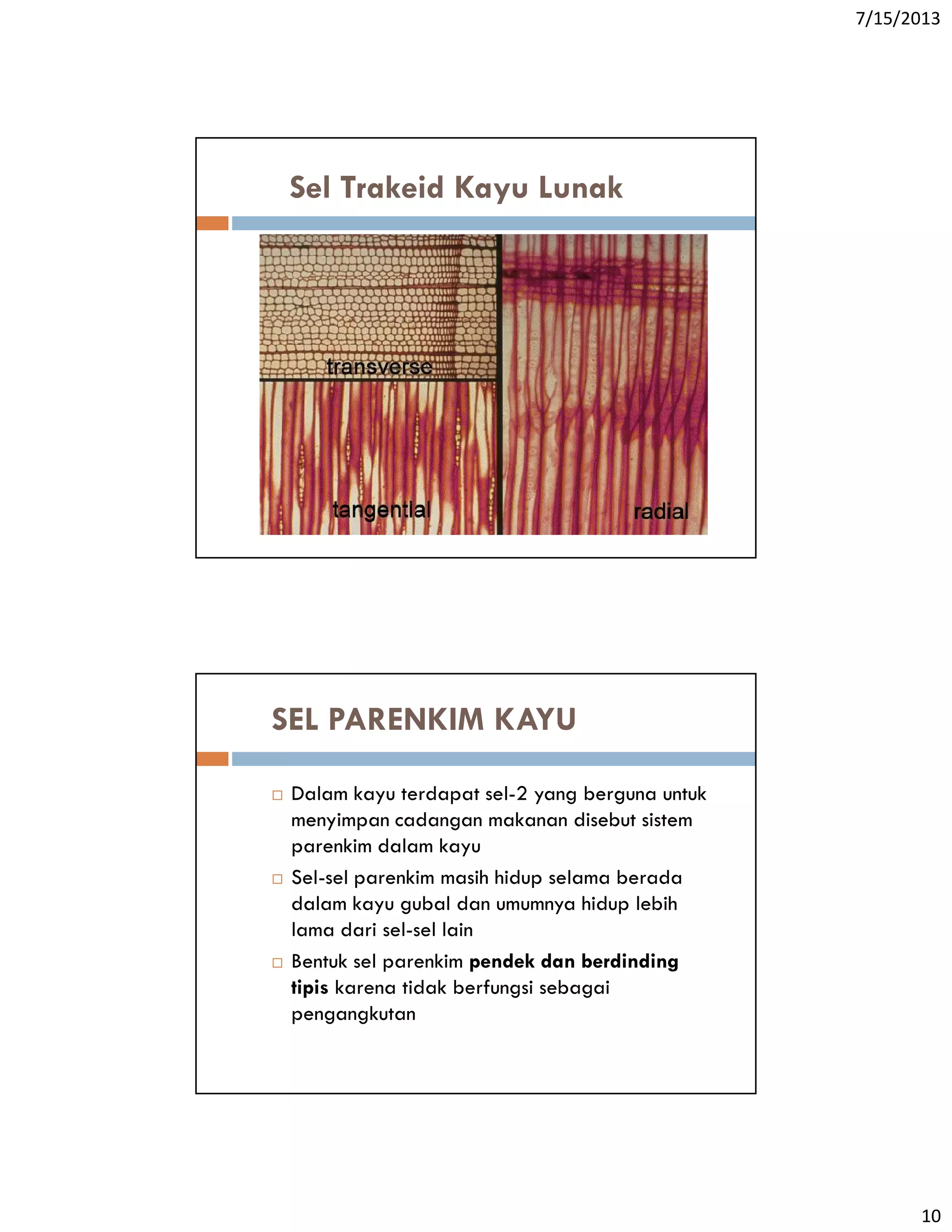ILMU KAYU STRUKTUR SEL KAYU | PDF