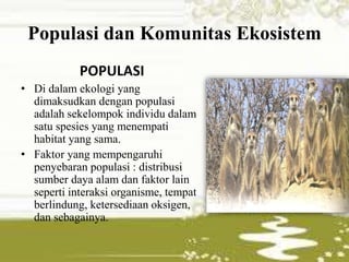 Ilmu Kealaman Dasar : Ekosistem | PPTX