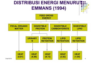 Metabolizable Energi for Poultry | PDF