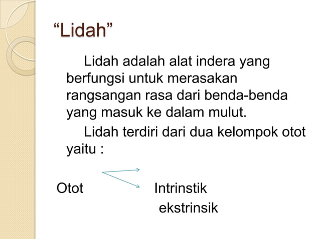 pengertian Indra pengecap ( Lidah ) | PPTX