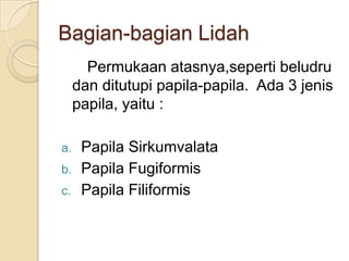pengertian Indra pengecap ( Lidah ) | PPTX