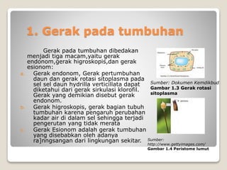 bab 1 gerak pada makhluk hidup dan benda | PPTX