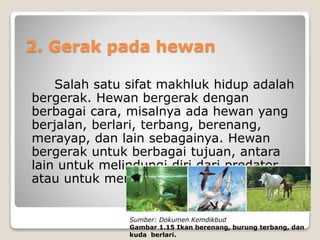 bab 1 gerak pada makhluk hidup dan benda | PPTX