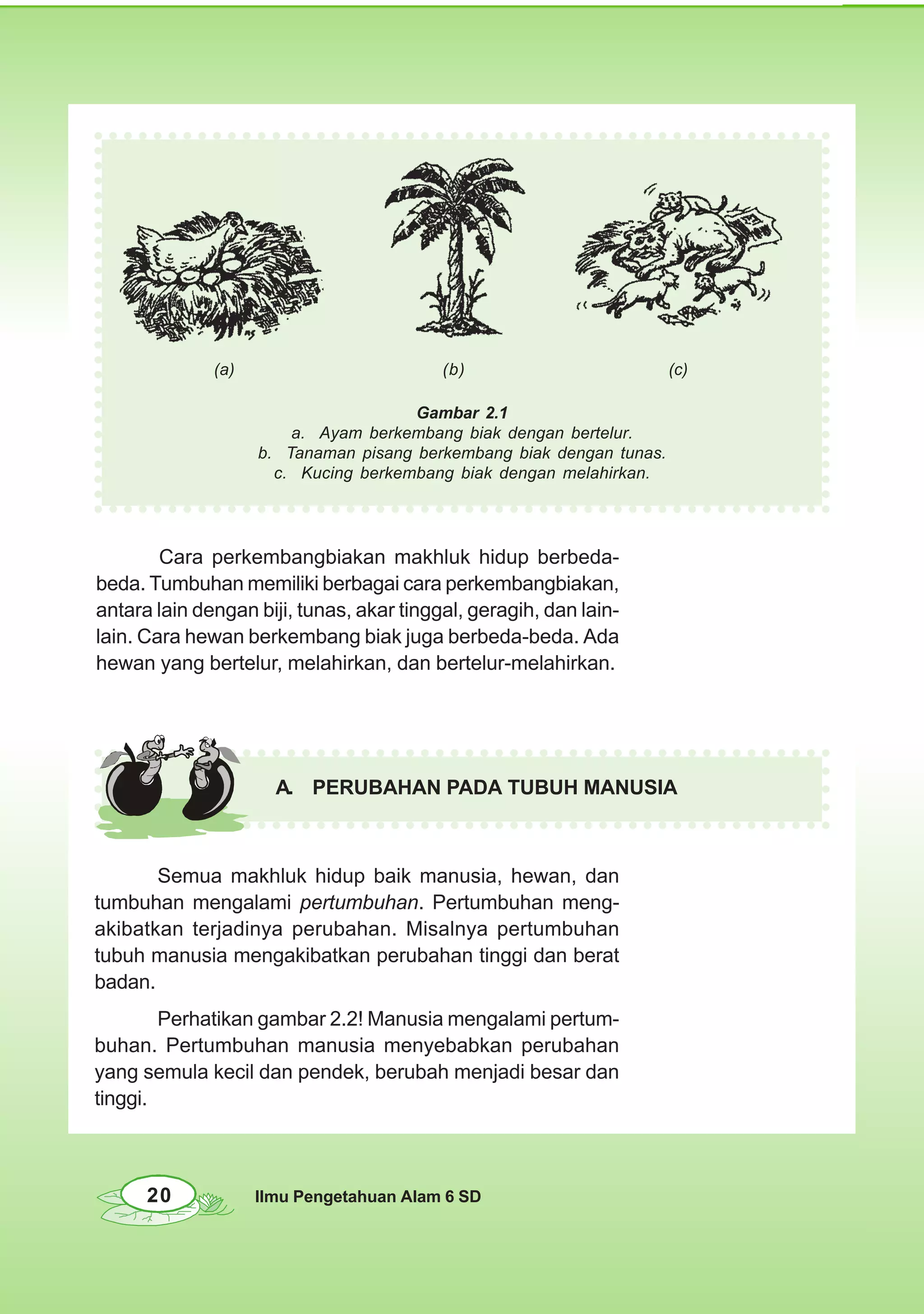 Ilmu pengetahuan alam untuk sd dan mi kelas vi - sriyono, edi ...