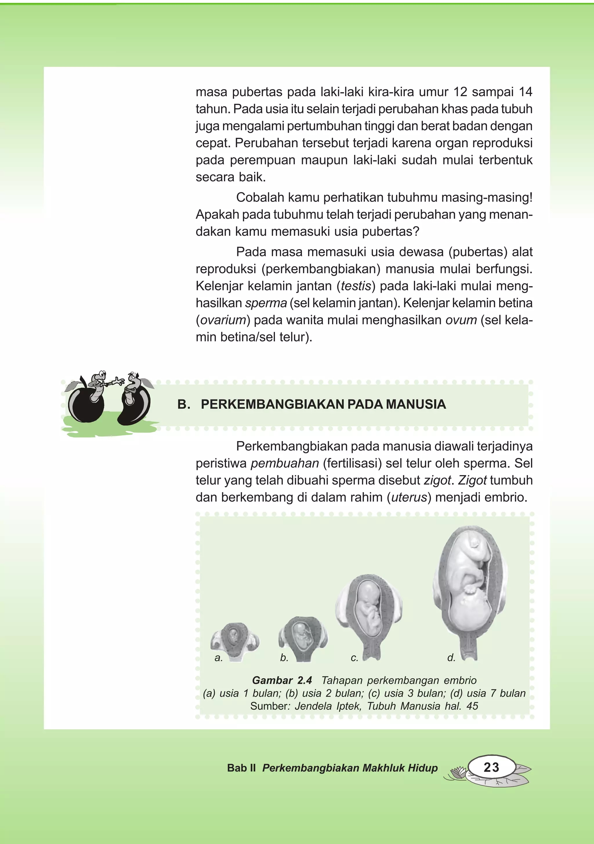 Ilmu pengetahuan alam untuk sd dan mi kelas vi - sriyono, edi ...