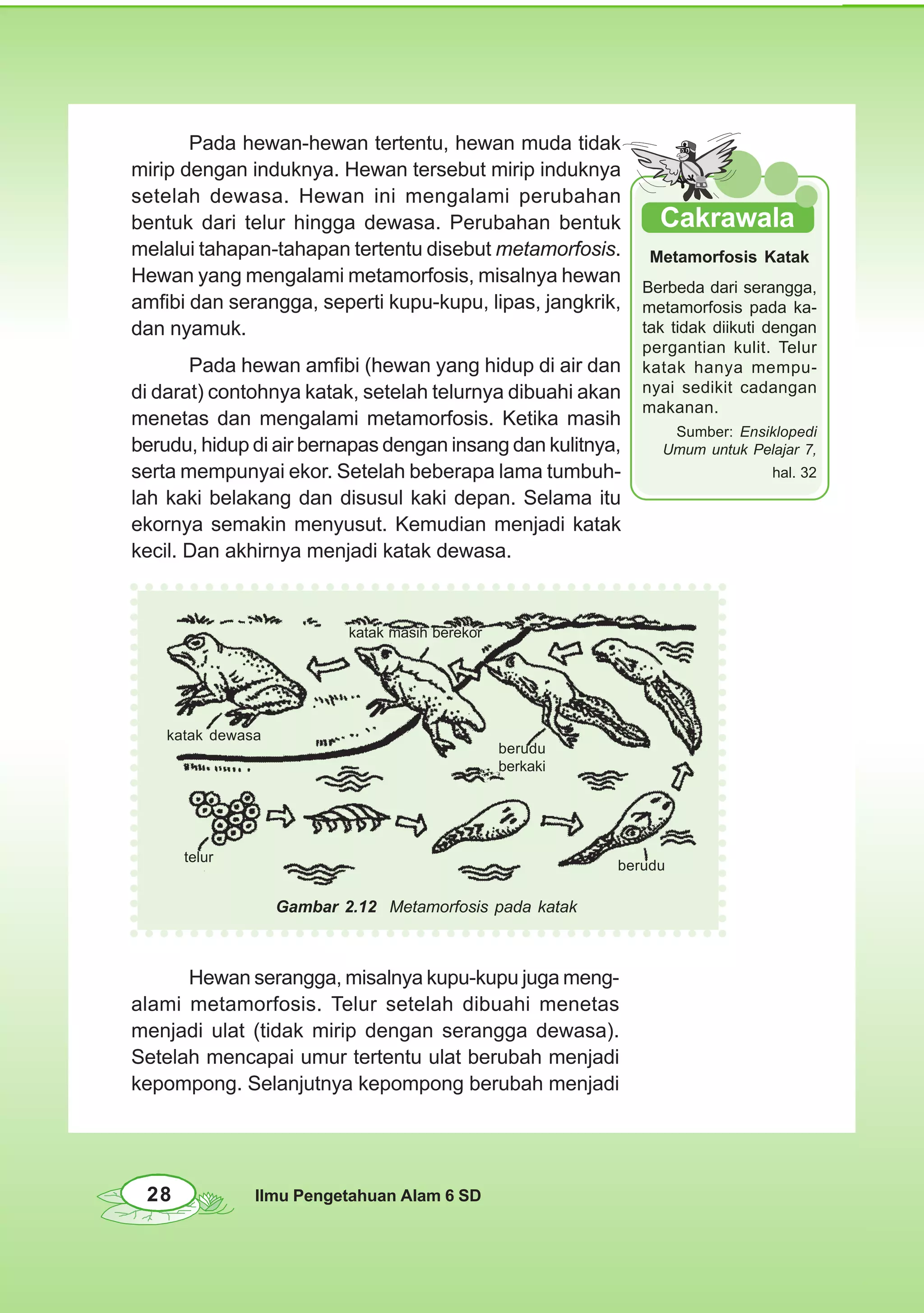 Ilmu pengetahuan alam untuk sd dan mi kelas vi - sriyono, edi ...