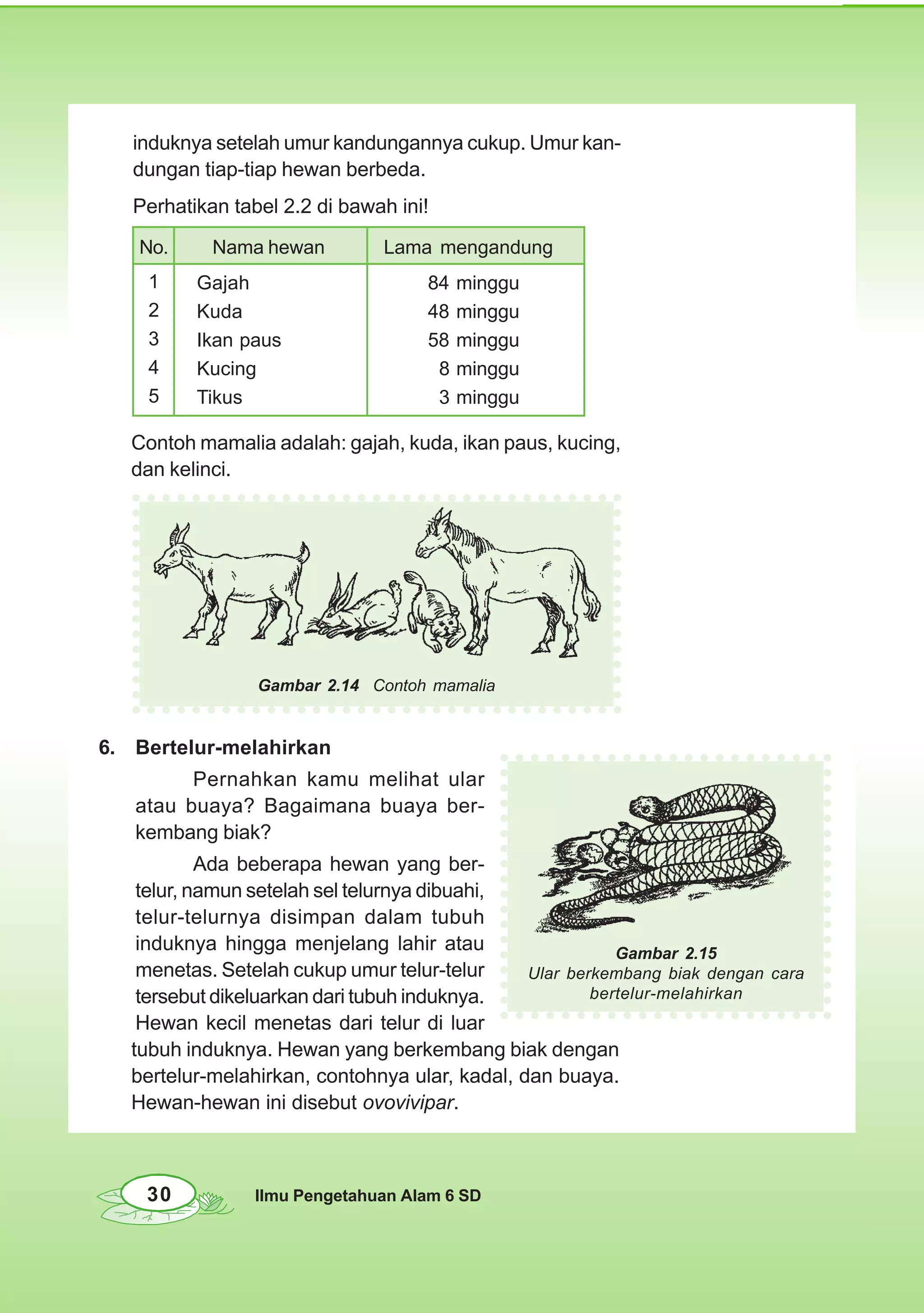 Ilmu pengetahuan alam untuk sd dan mi kelas vi - sriyono, edi ...