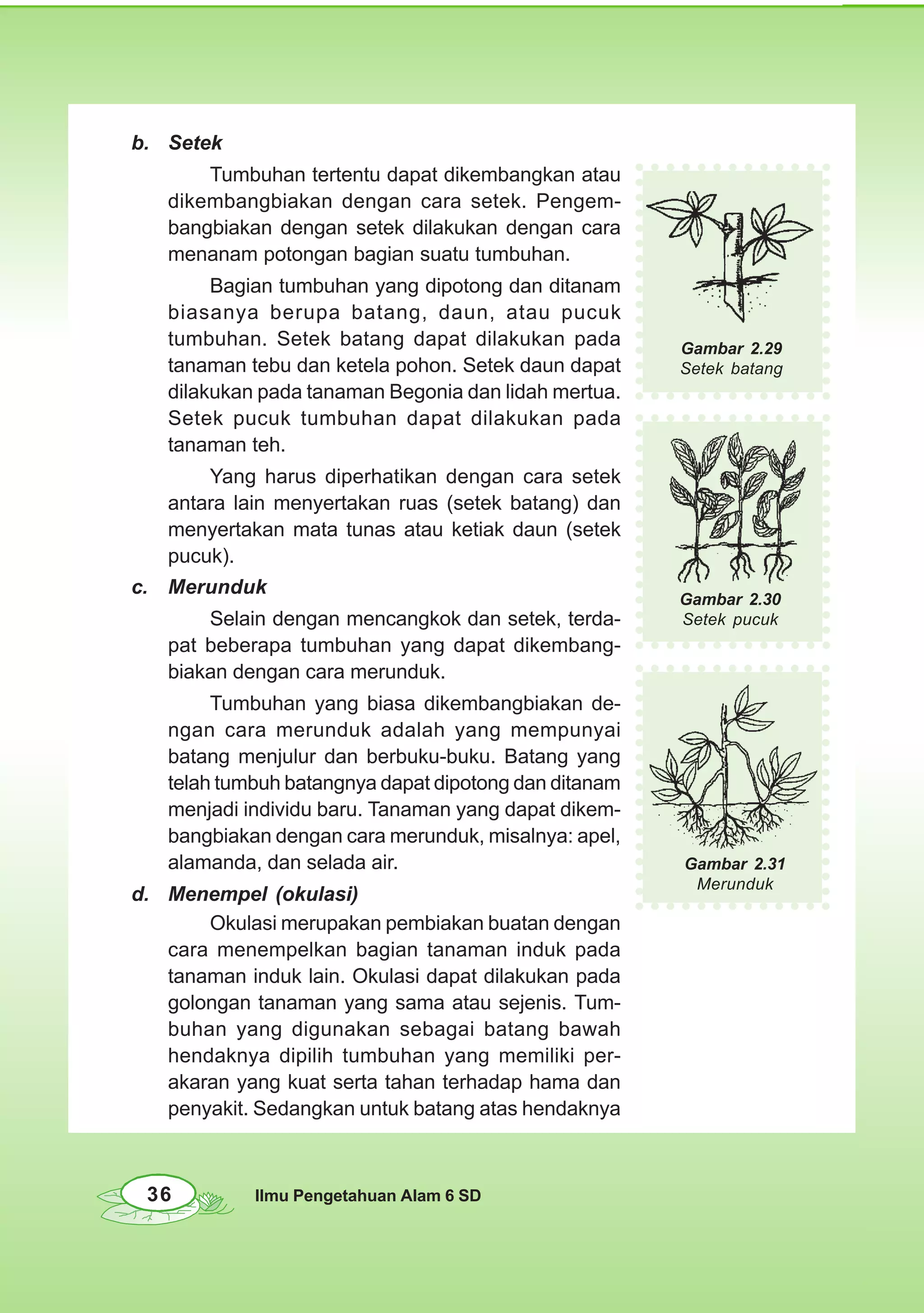 Ilmu pengetahuan alam untuk sd dan mi kelas vi - sriyono, edi trinugroho, endang sw, ari ...