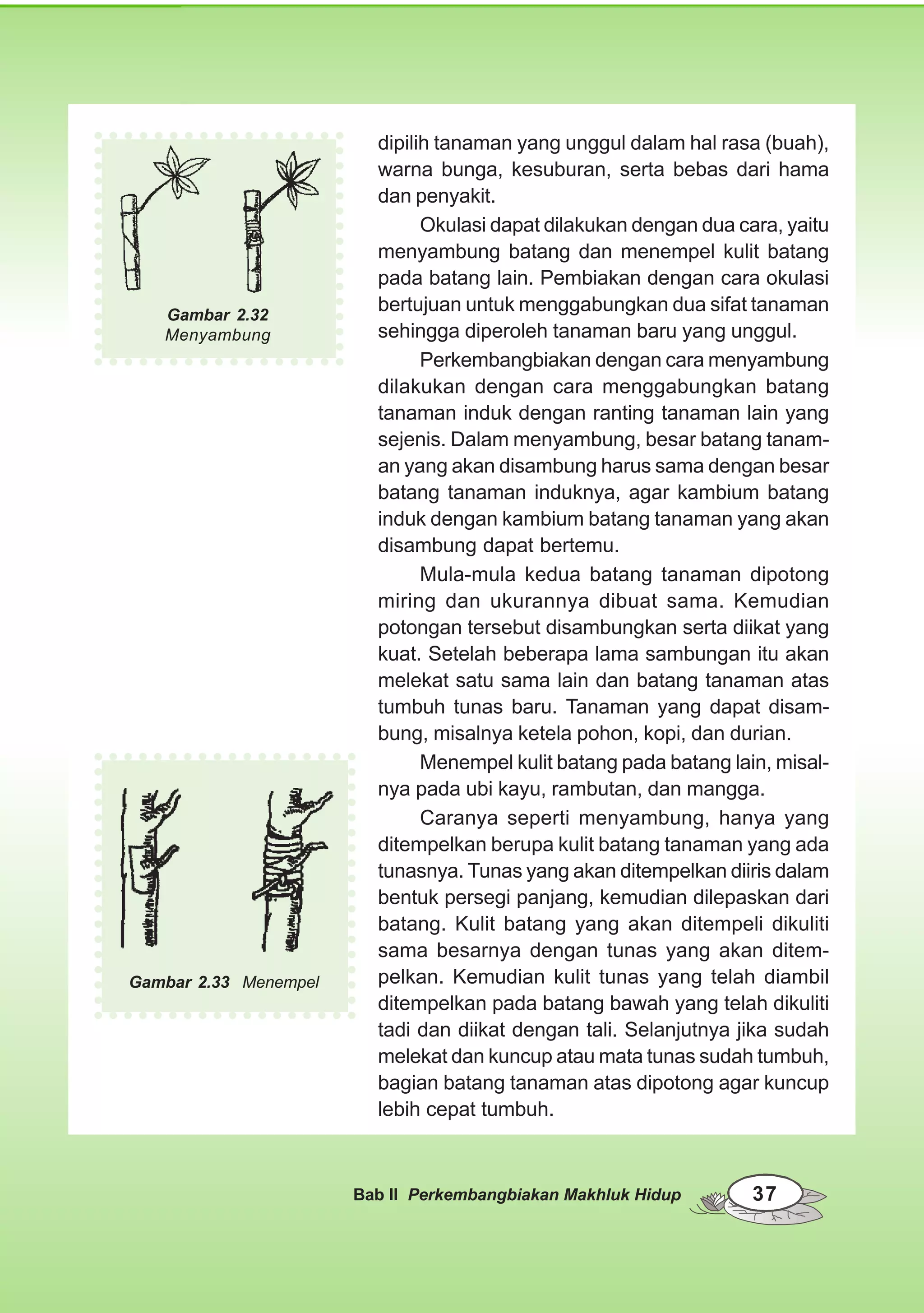 Ilmu pengetahuan alam untuk sd dan mi kelas vi - sriyono, edi trinugroho, endang sw, ari ...