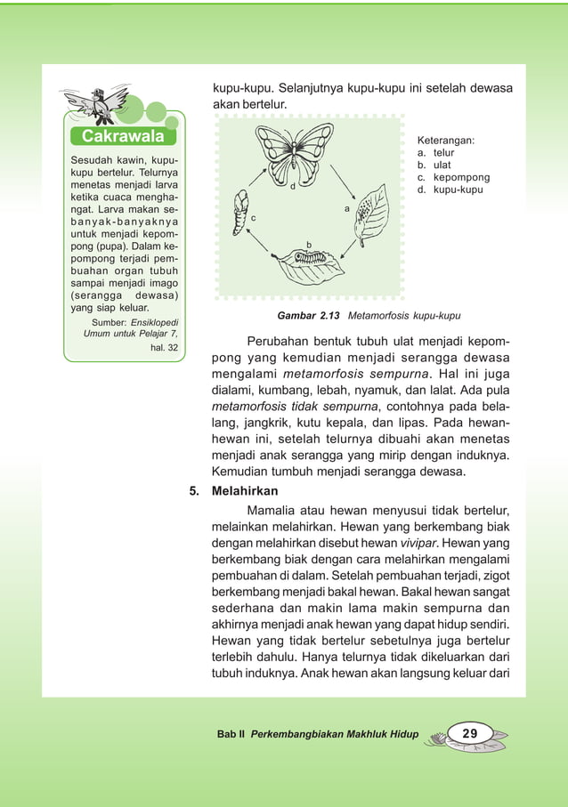 Ilmu pengetahuan alam untuk sd dan mi kelas vi - sriyono, edi trinugroho, endang sw, ari ...