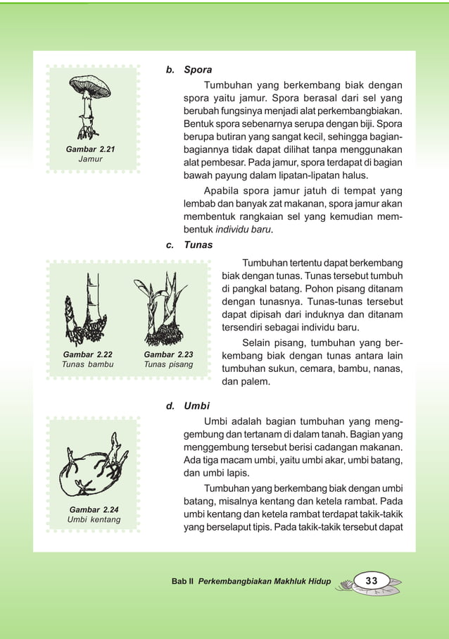 Ilmu pengetahuan alam untuk sd dan mi kelas vi - sriyono, edi trinugroho, endang sw, ari ...