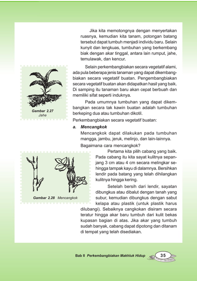 Ilmu pengetahuan alam untuk sd dan mi kelas vi - sriyono, edi trinugroho, endang sw, ari ...