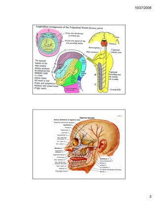 Ilmu penyakit saraf trigeminal neuralgia [compatibility mode] | PDF