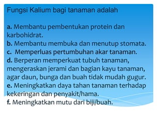 Mata Kuliah Ilmu tanah - kalium | PPTX
