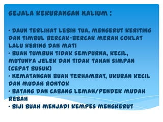 Mata Kuliah Ilmu tanah - kalium | PPTX