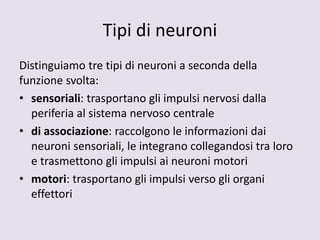 Il neurone | PPTX