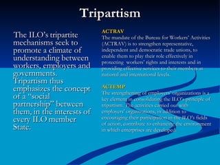 Introduction to the ILO | PPT