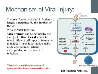 Transmission and dissemination of microbes & Immune and inflammatory ...