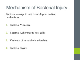 Transmission and dissemination of microbes & Immune and inflammatory ...