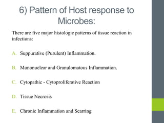 Transmission and dissemination of microbes & Immune and inflammatory ...