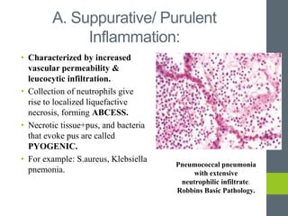 Transmission and dissemination of microbes & Immune and inflammatory ...