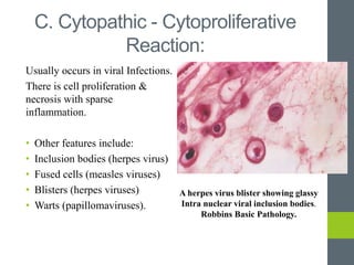 Transmission and dissemination of microbes & Immune and inflammatory ...