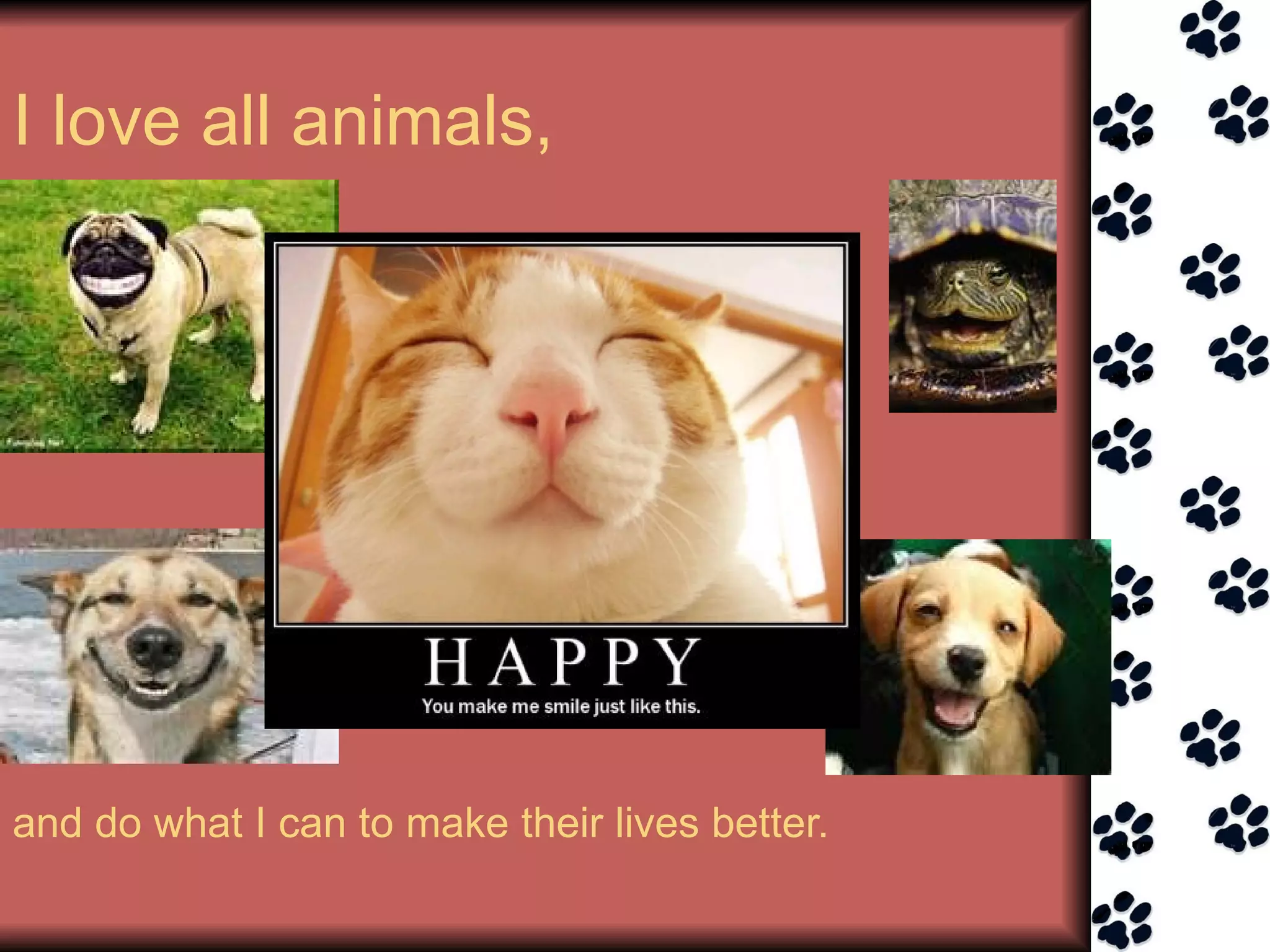 My interests involve animals | PPT