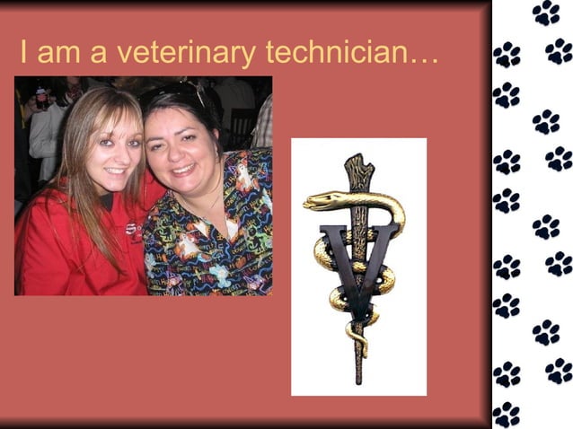 My interests involve animals | PPT