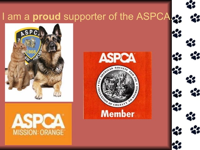 My interests involve animals | PPT