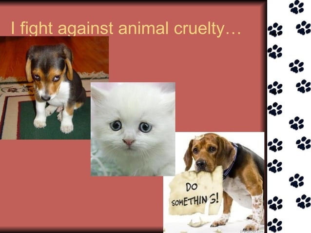 My interests involve animals | PPT
