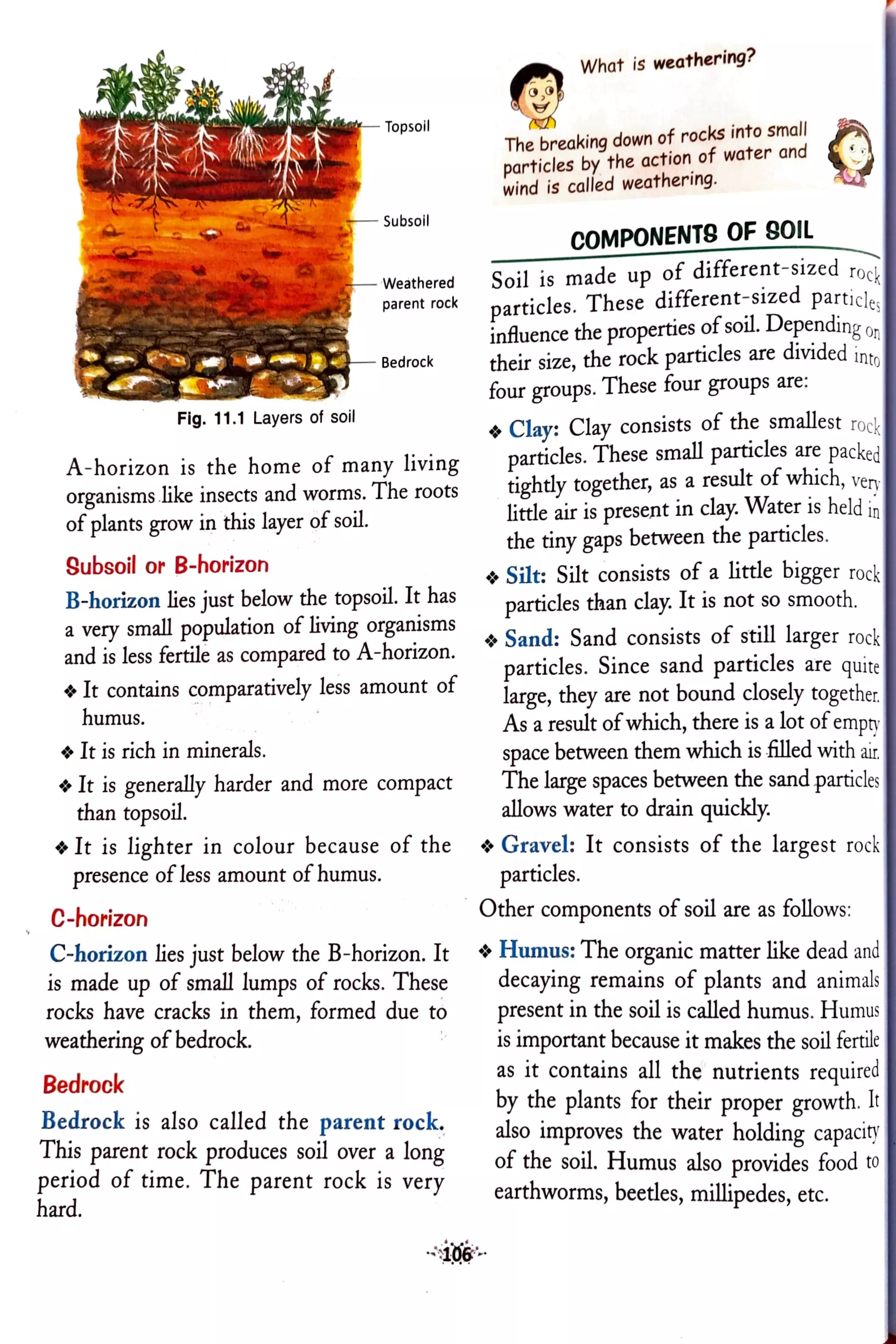 Class 7 Soil | PDF