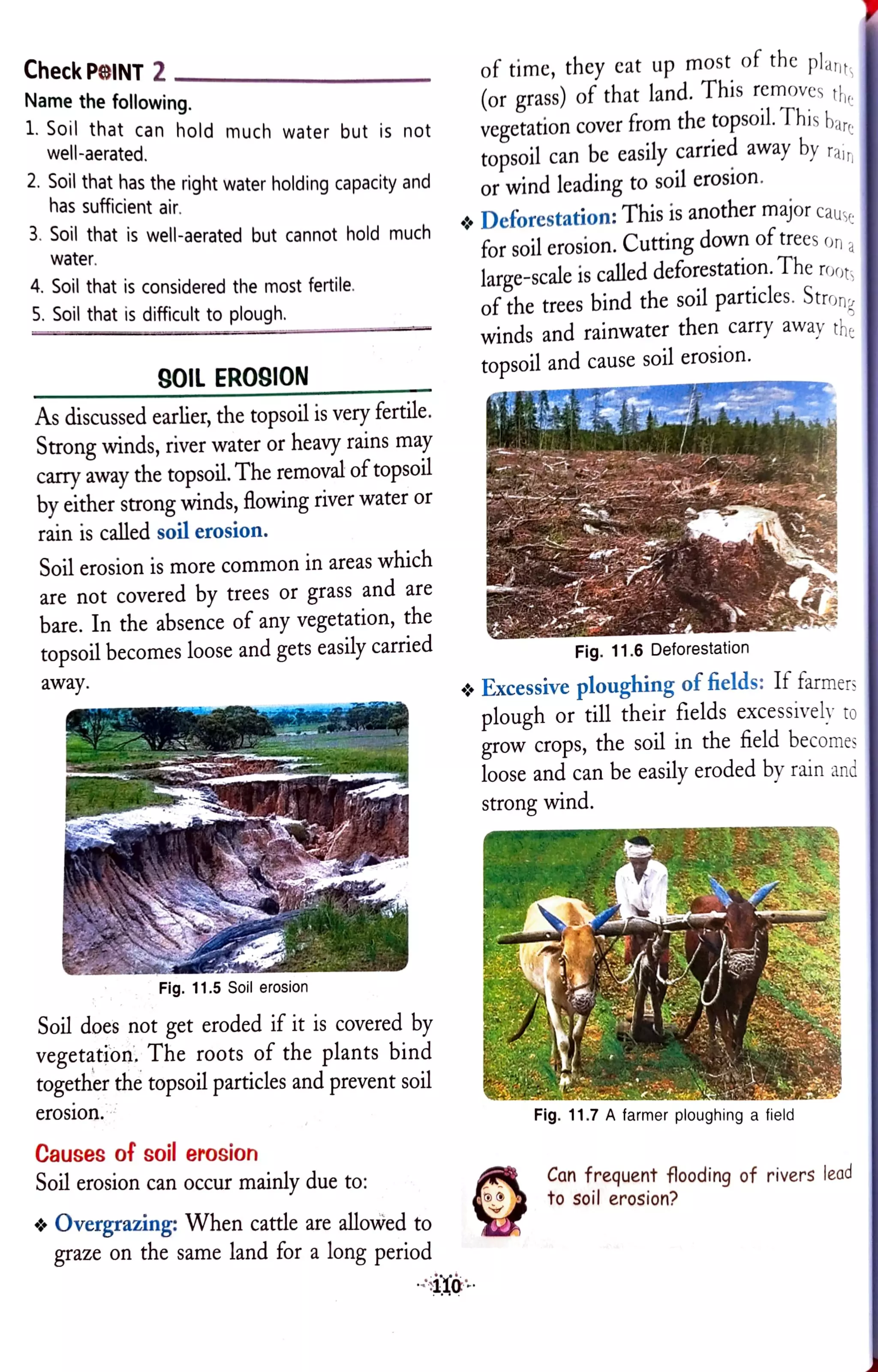 Class 7 Soil | PDF