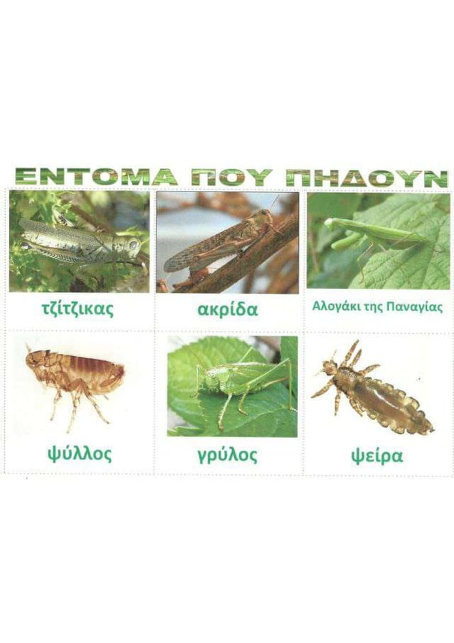 Ilovepdf merged | PDF