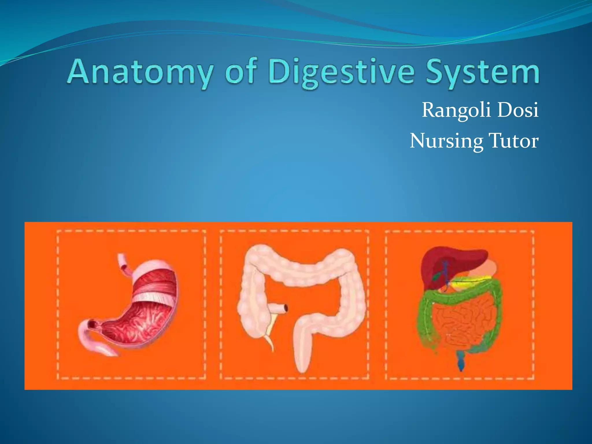 DIGESTIVE SYSTEM anatomy and physiology of Bsc nursing pdf/pptx | PDF | Digestive Disorders ...