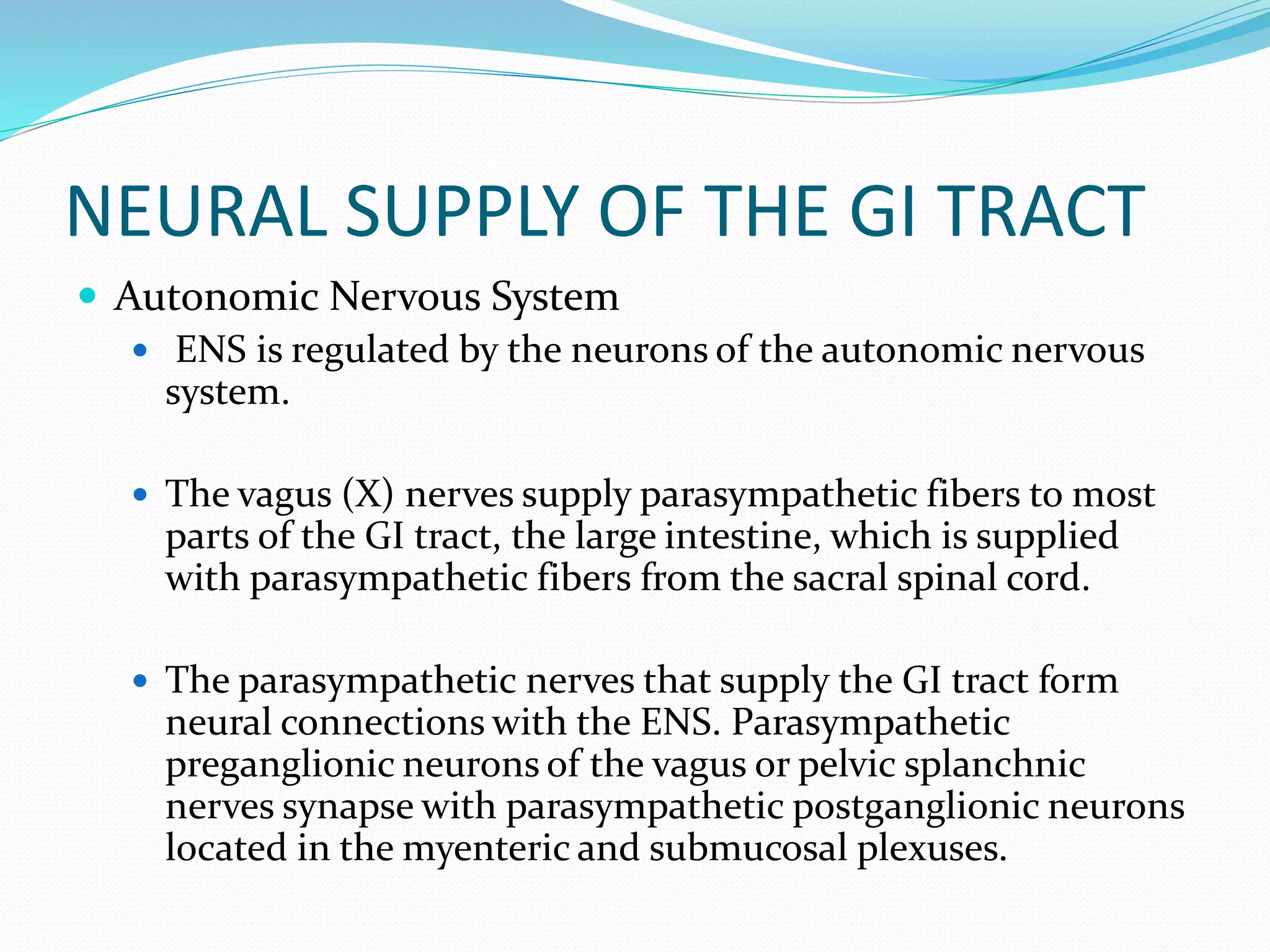 DIGESTIVE SYSTEM anatomy and physiology of Bsc nursing pdf/pptx | PDF