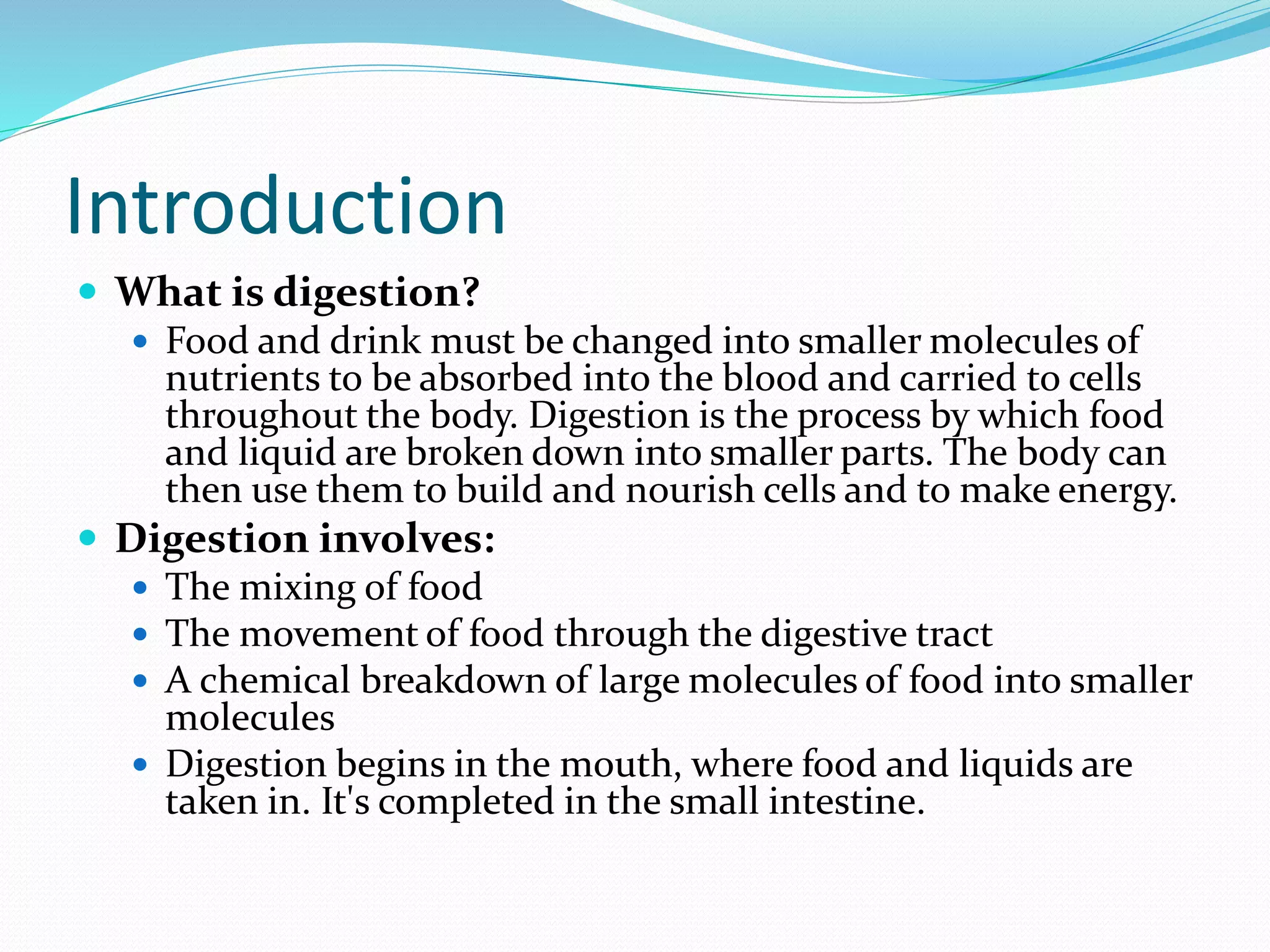 DIGESTIVE SYSTEM anatomy and physiology of Bsc nursing pdf/pptx | PDF