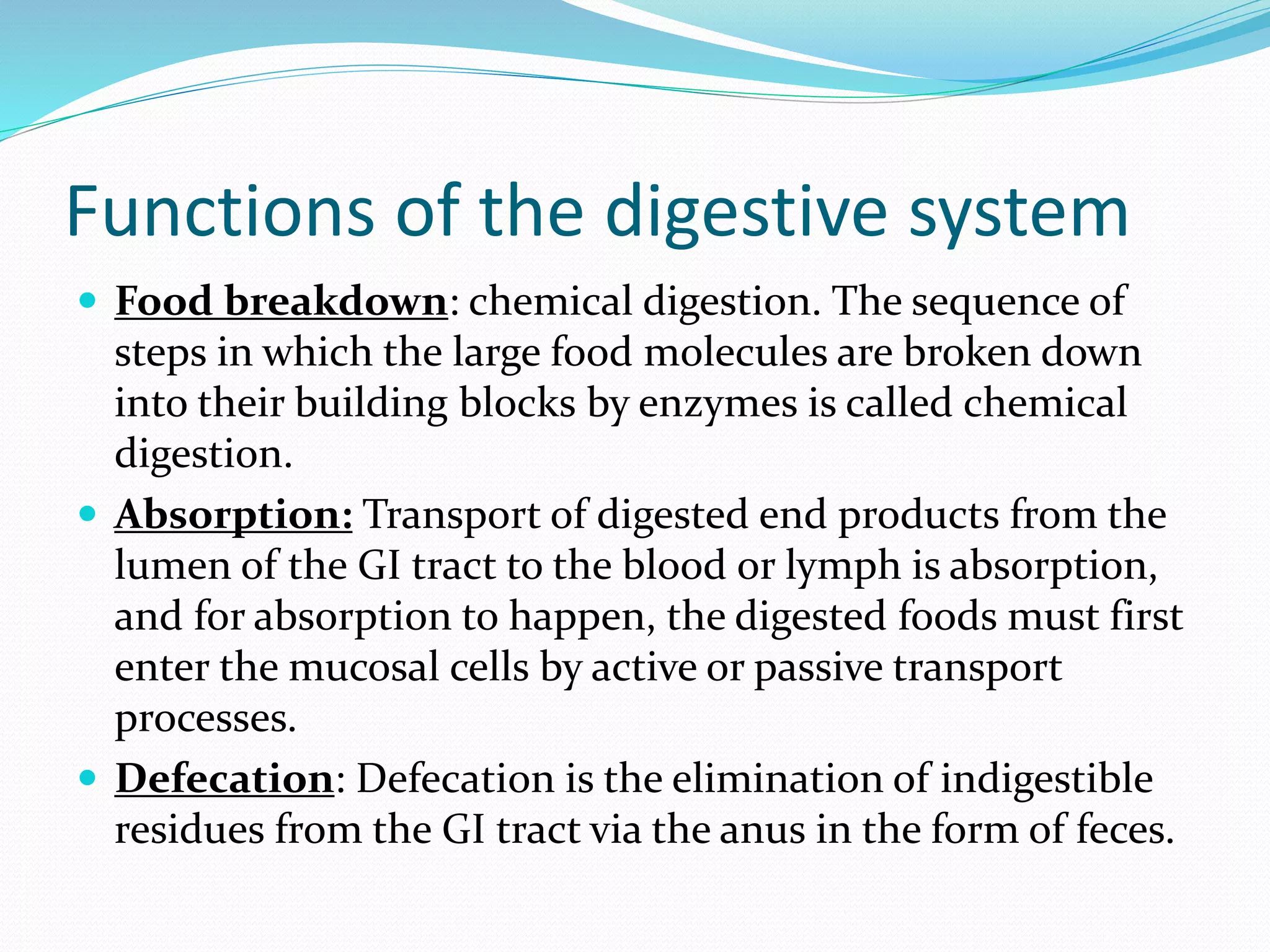 DIGESTIVE SYSTEM anatomy and physiology of Bsc nursing pdf/pptx | PDF | Digestive Disorders ...