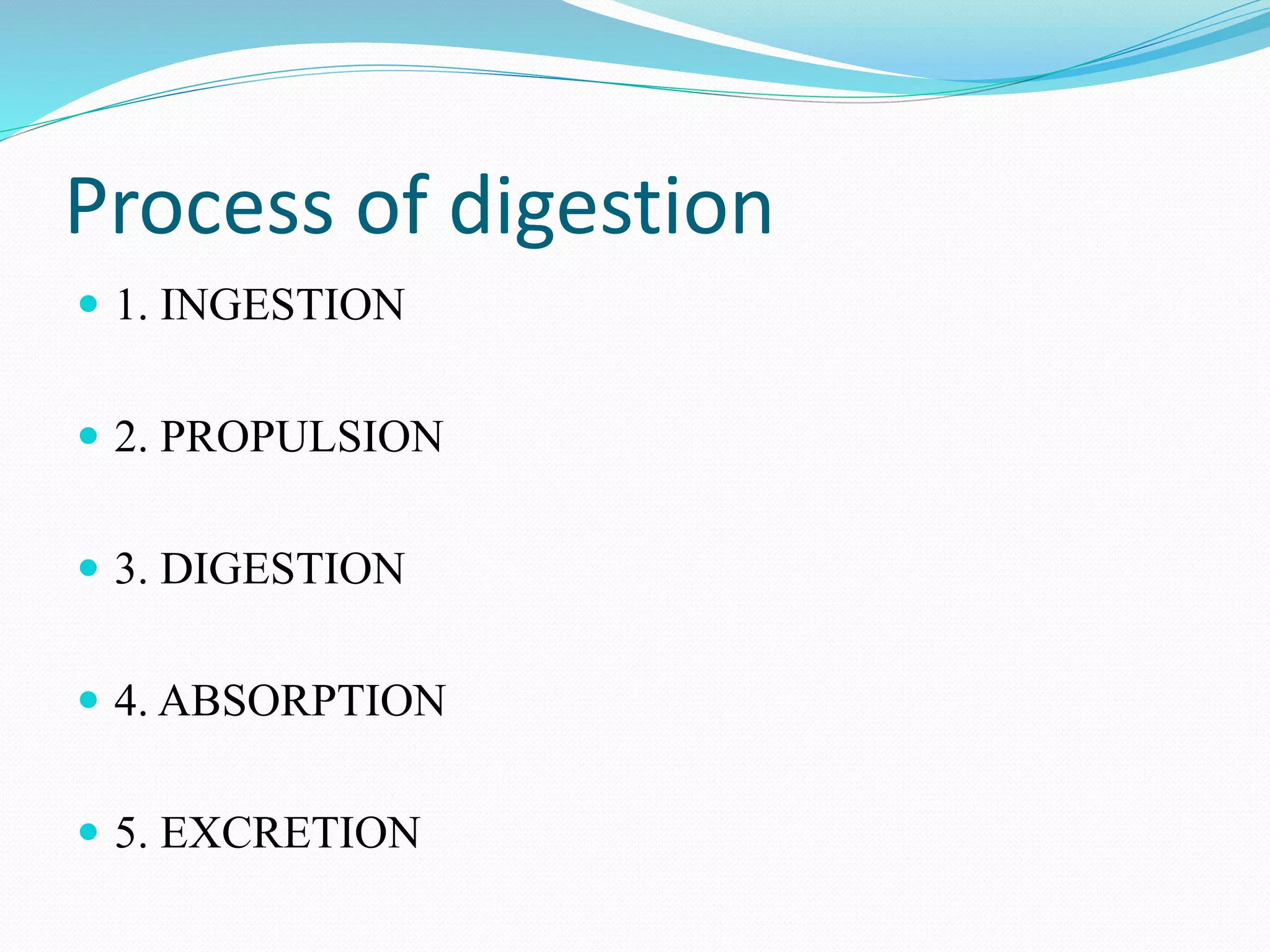 DIGESTIVE SYSTEM anatomy and physiology of Bsc nursing pdf/pptx | PDF
