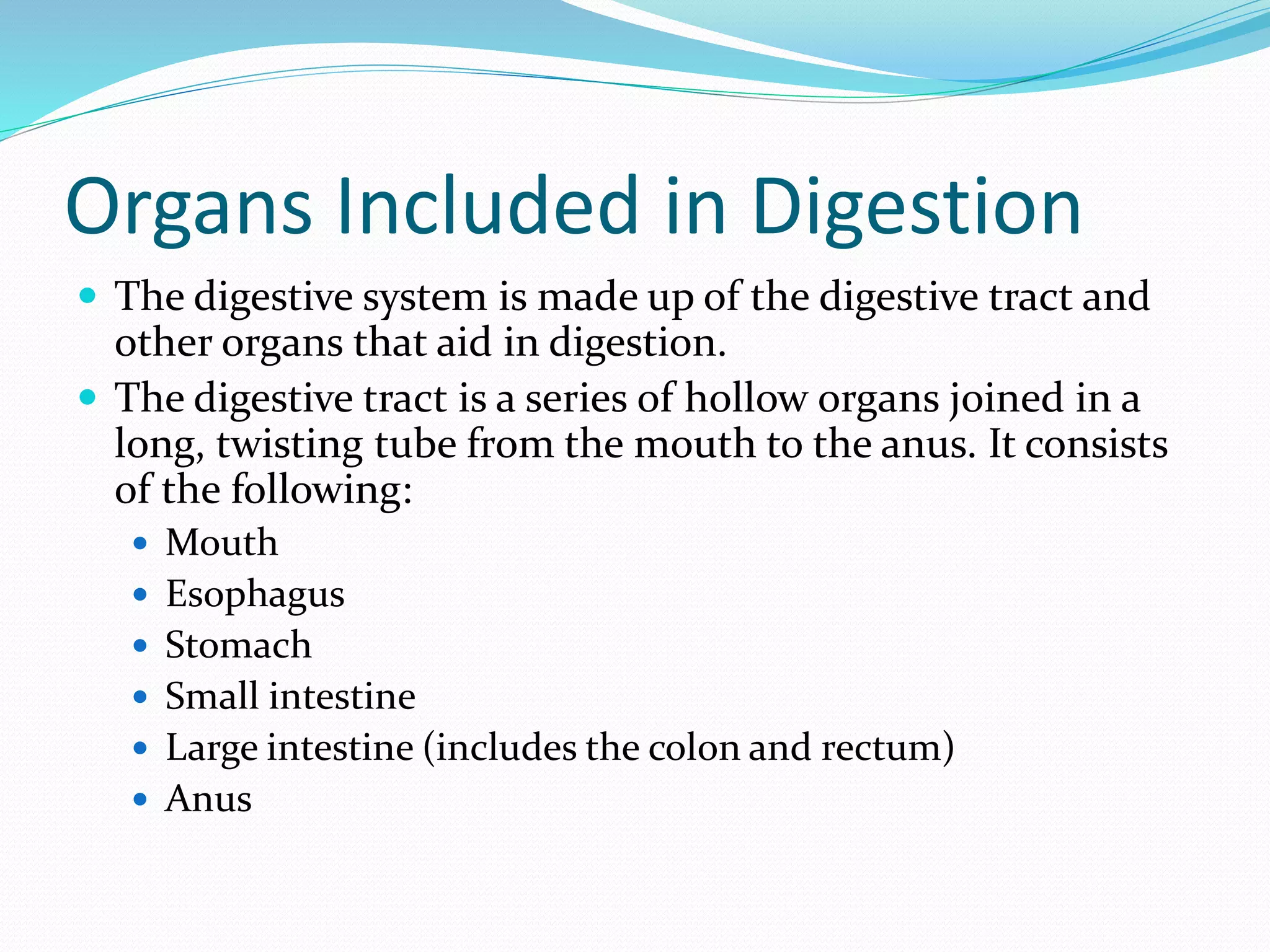 DIGESTIVE SYSTEM anatomy and physiology of Bsc nursing pdf/pptx | PDF ...