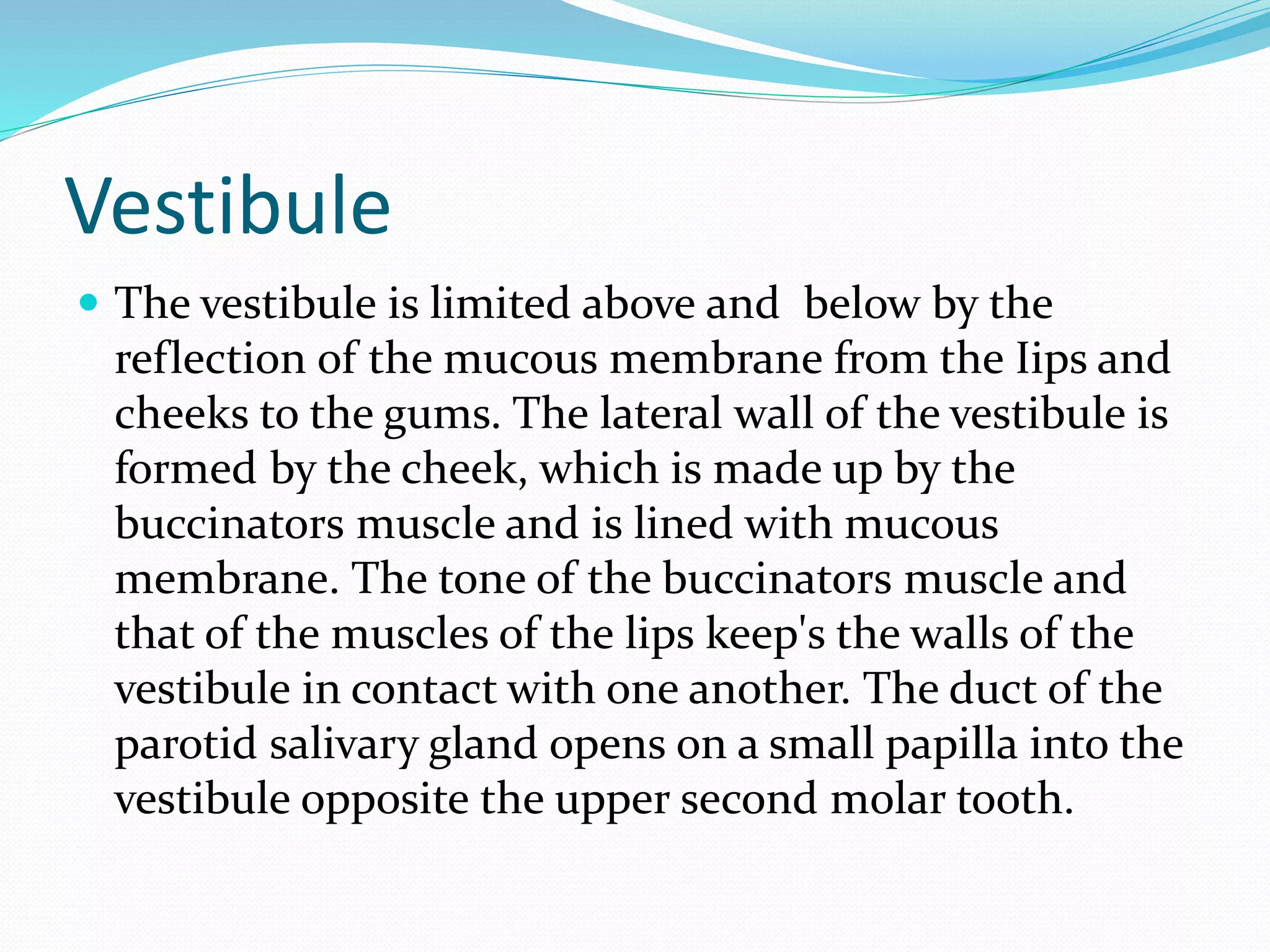 DIGESTIVE SYSTEM anatomy and physiology of Bsc nursing pdf/pptx | PDF