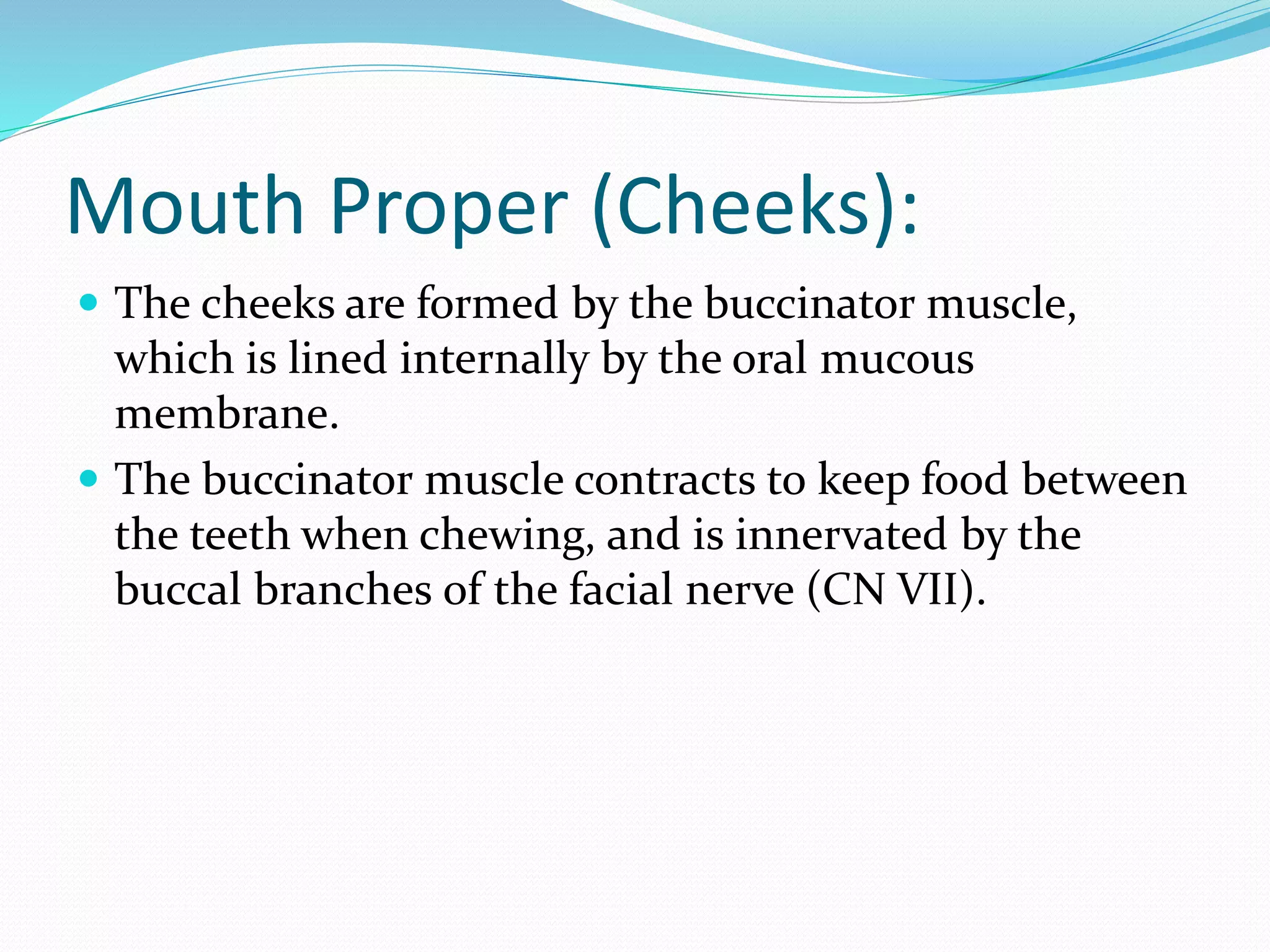 DIGESTIVE SYSTEM anatomy and physiology of Bsc nursing pdf/pptx | PDF