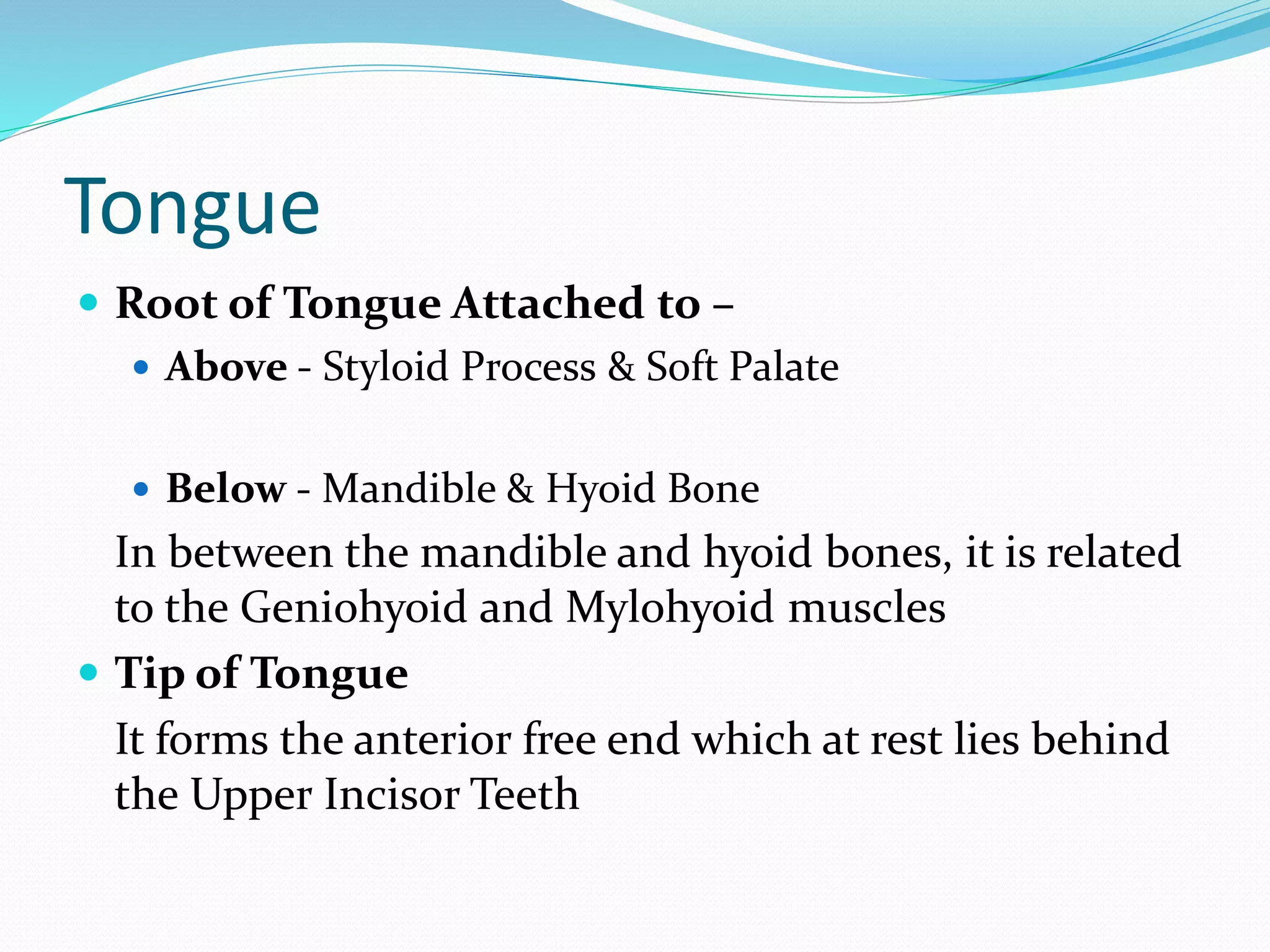 DIGESTIVE SYSTEM anatomy and physiology of Bsc nursing pdf/pptx | PDF