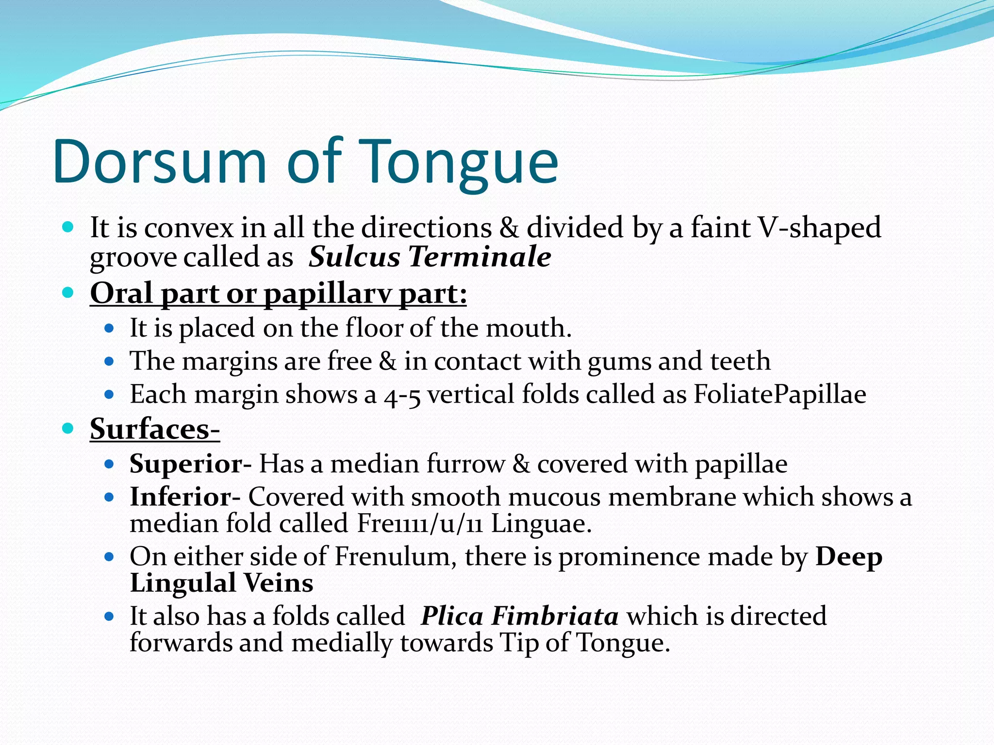 DIGESTIVE SYSTEM anatomy and physiology of Bsc nursing pdf/pptx | PDF